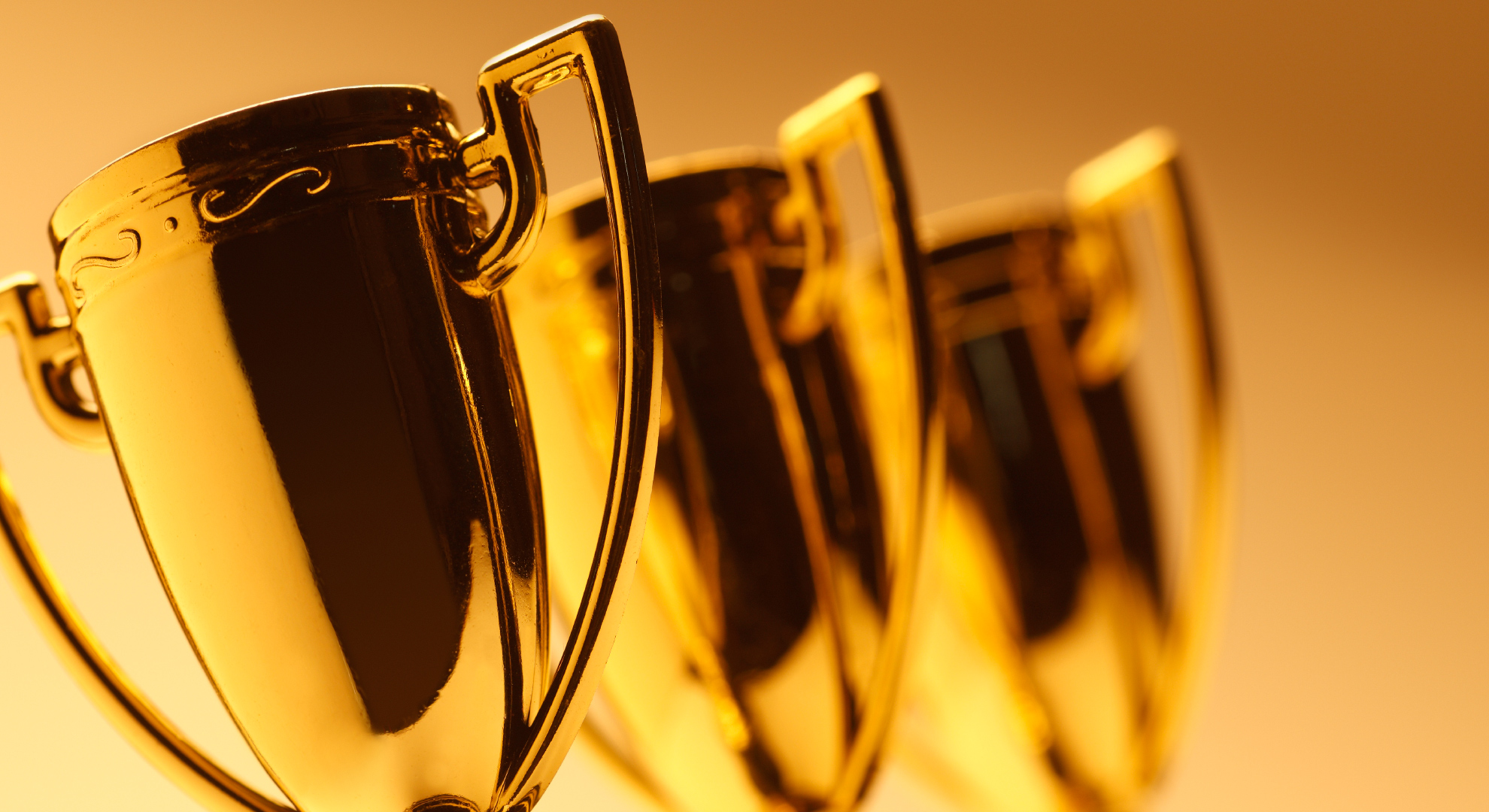 WNS Wins Two NIQR Quality Awards 2015